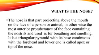 FUNCTIONAL ANATOMY OF THE NOSE.pptx