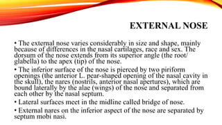 FUNCTIONAL ANATOMY OF THE NOSE.pptx