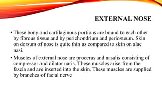 FUNCTIONAL ANATOMY OF THE NOSE.pptx