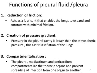 Functional Anatomy of the Respiratory System.pptx