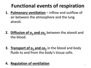 Functional Anatomy of the Respiratory System.pptx