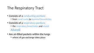 Functional anatomy of the respiratory system.pptx