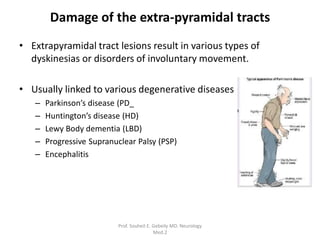 Functional anatomy of the spinal cord.pdf