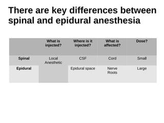 Functional Anatomy of the Spine for Anesthesia | ODP