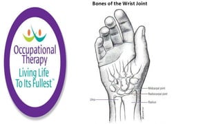 Functional Anatomy of the Wrist and Hand | PPTX