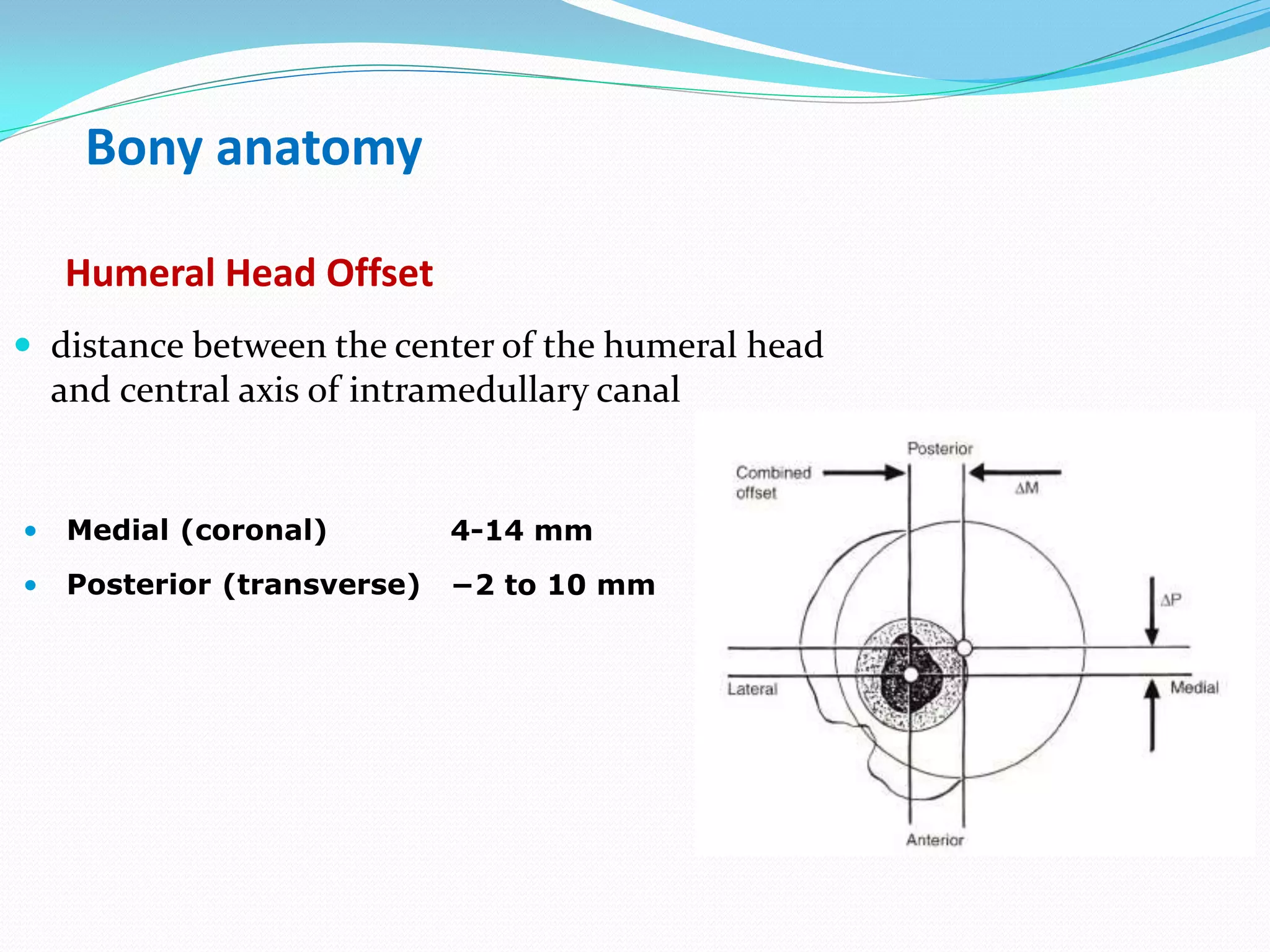 Functional and surgical anatomy of shoulder region | PDF