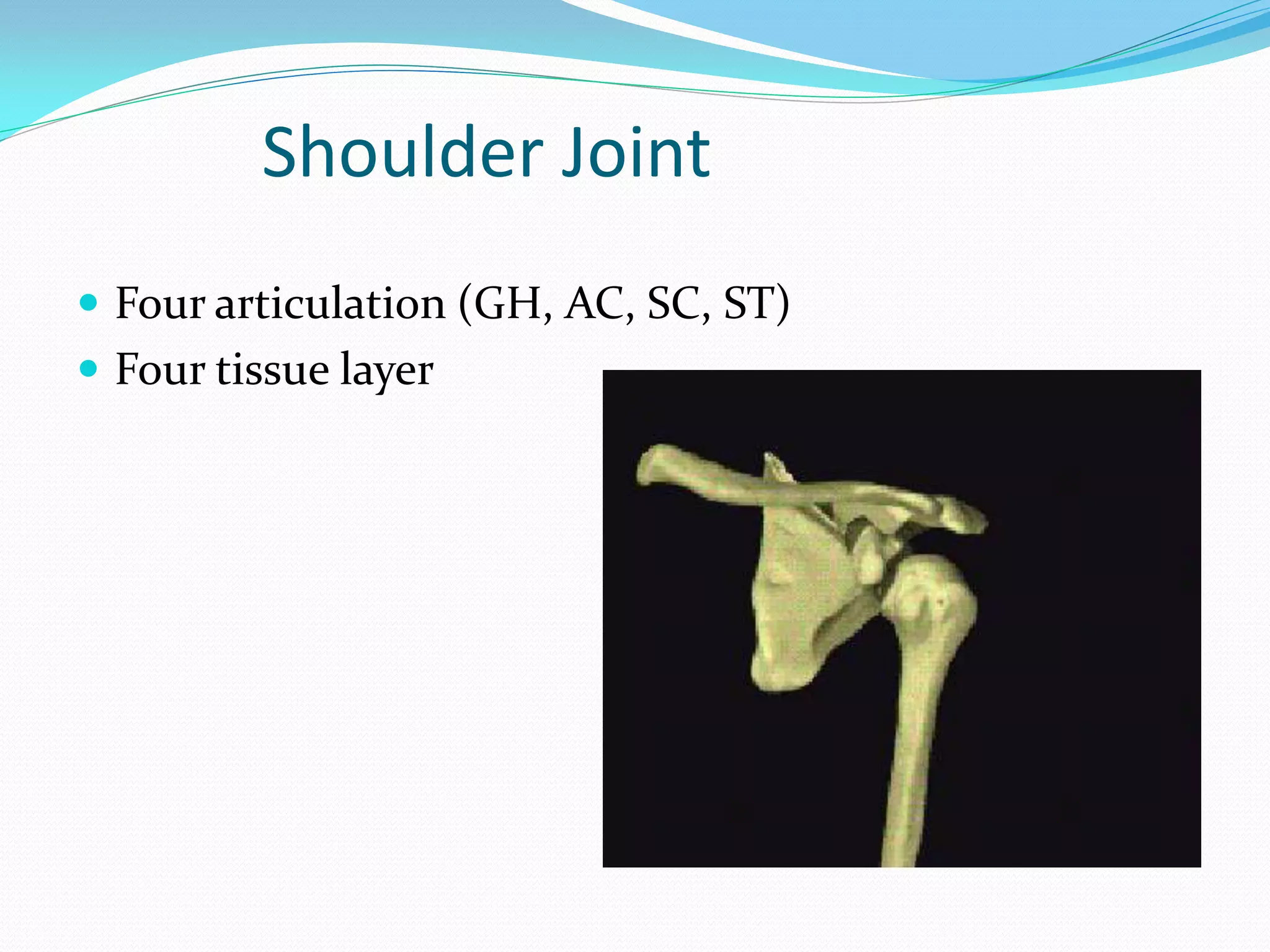 Functional and surgical anatomy of shoulder region | PDF