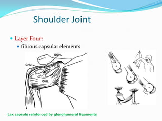 Functional and surgical anatomy of shoulder region | PDF