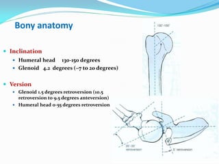 Functional and surgical anatomy of shoulder region | PDF