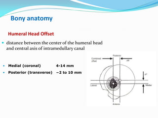 Functional and surgical anatomy of shoulder region | PDF