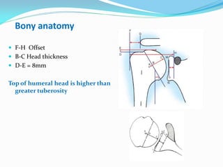 Functional and surgical anatomy of shoulder region | PDF