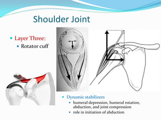 Functional and surgical anatomy of shoulder region | PDF