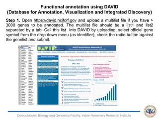 Functional annotation | PDF
