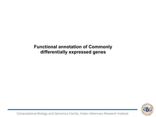 Functional annotation | PDF