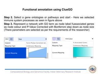 Functional annotation | PDF