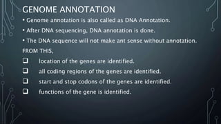 Functional annotation- prediction of genes.pptx