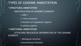 Functional annotation- prediction of genes.pptx