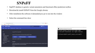 Functional ANNOTATION OF GENOME.pptx