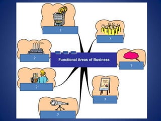 Functional areas | PPTX