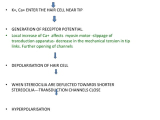 Functional aspects of cochlea | PPT