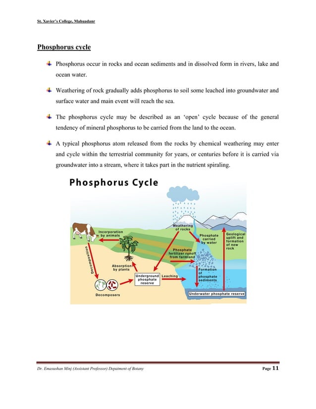 Functional Aspects Of Ecosystem Pdf