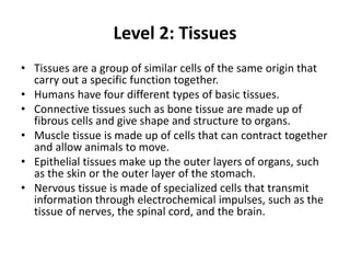 Functional Biology BS Mathematics CompulsoryLecture#1.pptx