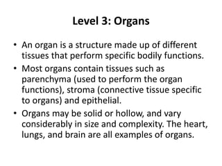 Functional Biology BS Mathematics CompulsoryLecture#1.pptx