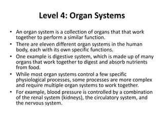 Functional Biology BS Mathematics CompulsoryLecture#1.pptx