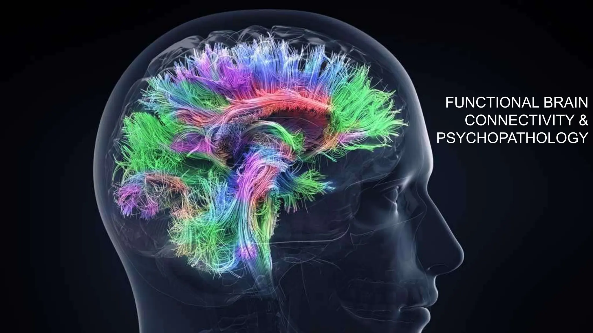 Functional Brain Default Mode Central Executive Network Pptx