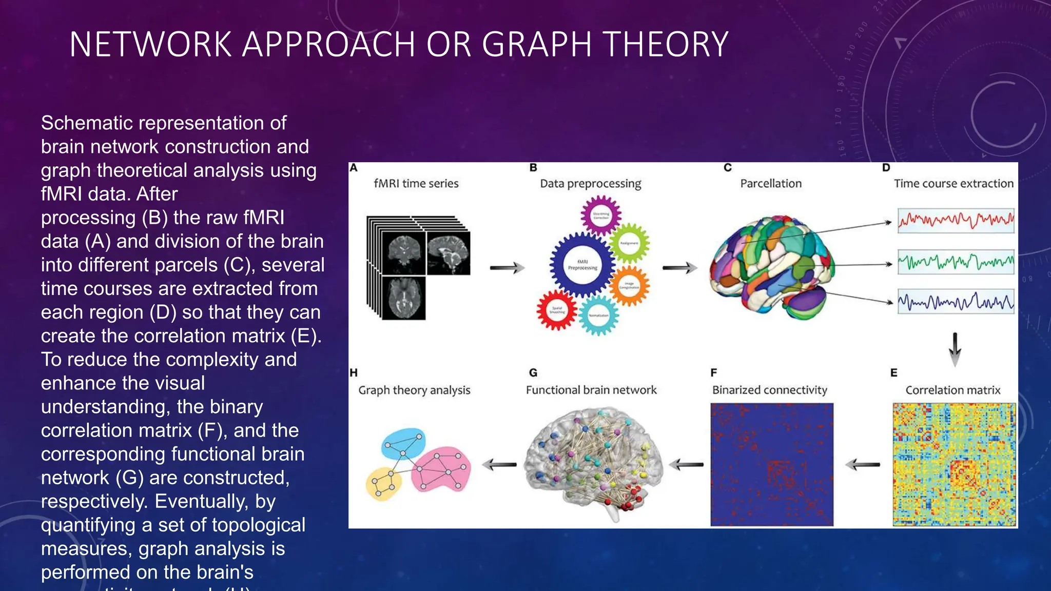 Functional Brain Default Mode Central Executive Network Pptx