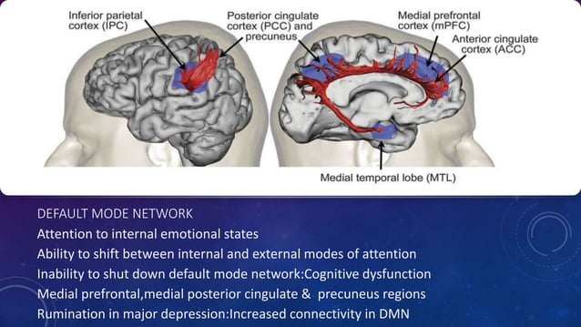 FUNCTIONAL BRAIN default mode, central executive network.pptx | Brain ...