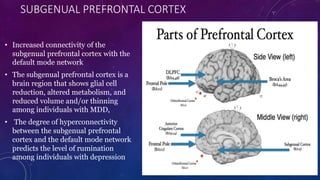 FUNCTIONAL BRAIN default mode, central executive network.pptx