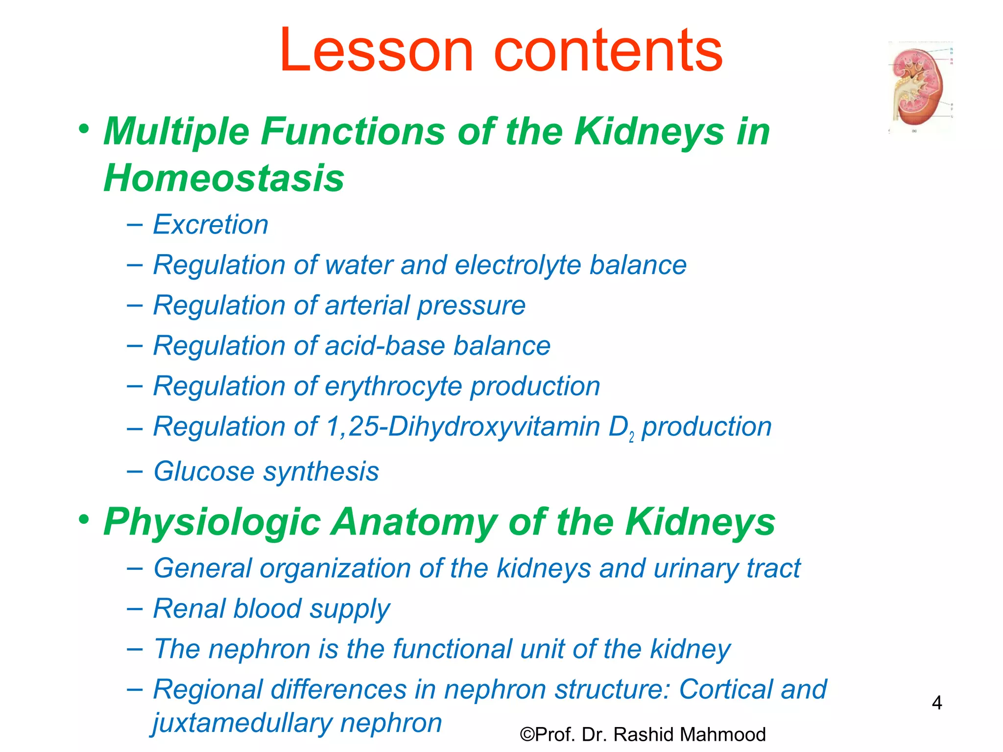 Functional characteristics of nephron. rmc | PPT