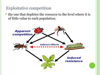 Functional Components of an Ecosystem | PPT
