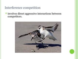 Functional Components of an Ecosystem | PPT