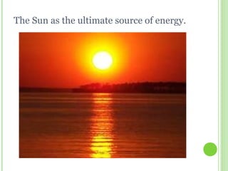 Functional Components of an Ecosystem | PPT