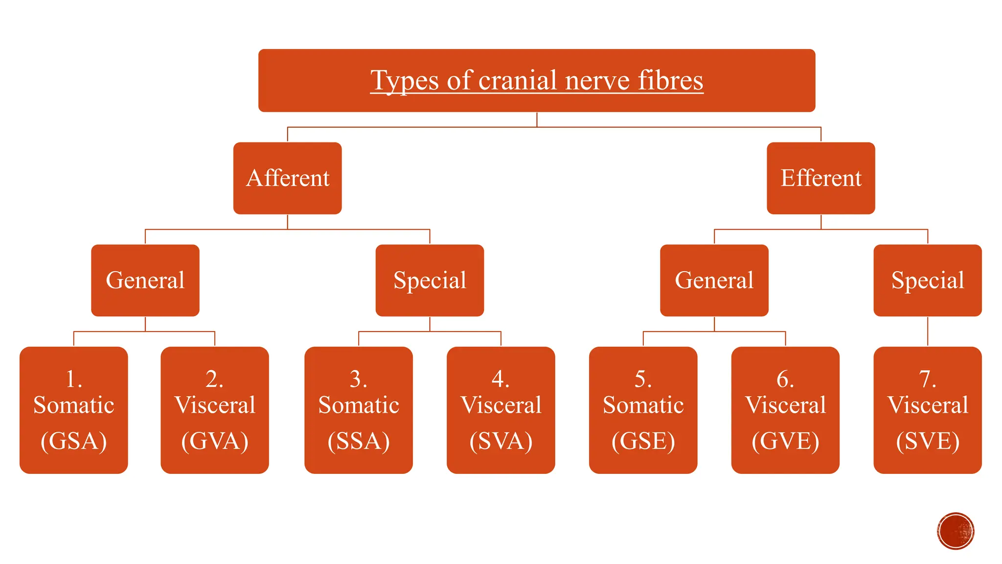 Functional components of cranial nerves.pptx