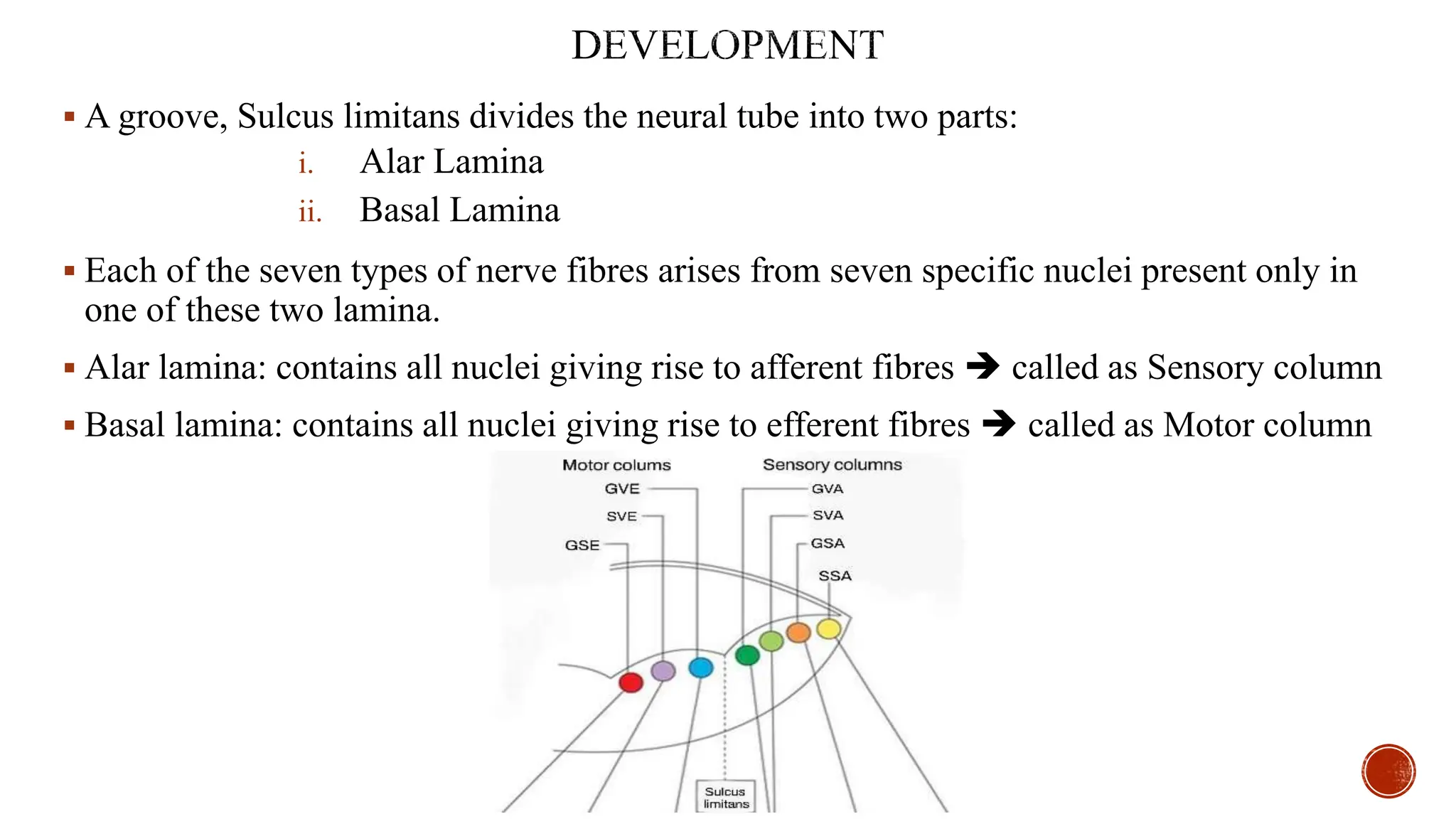 Functional components of cranial nerves.pptx