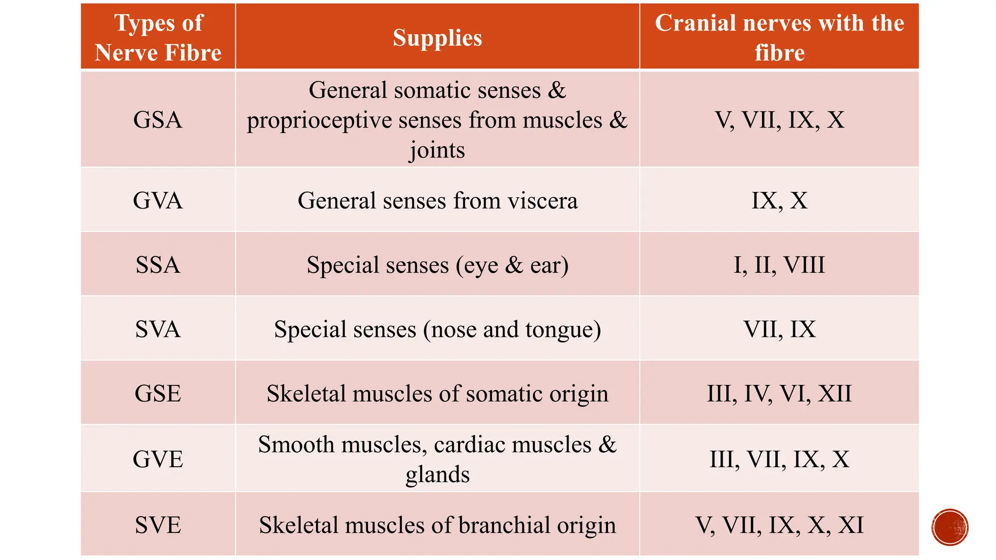 Functional Components Of Cranial Nerves Pptx Ear Nose And Throat Conditions Diseases And
