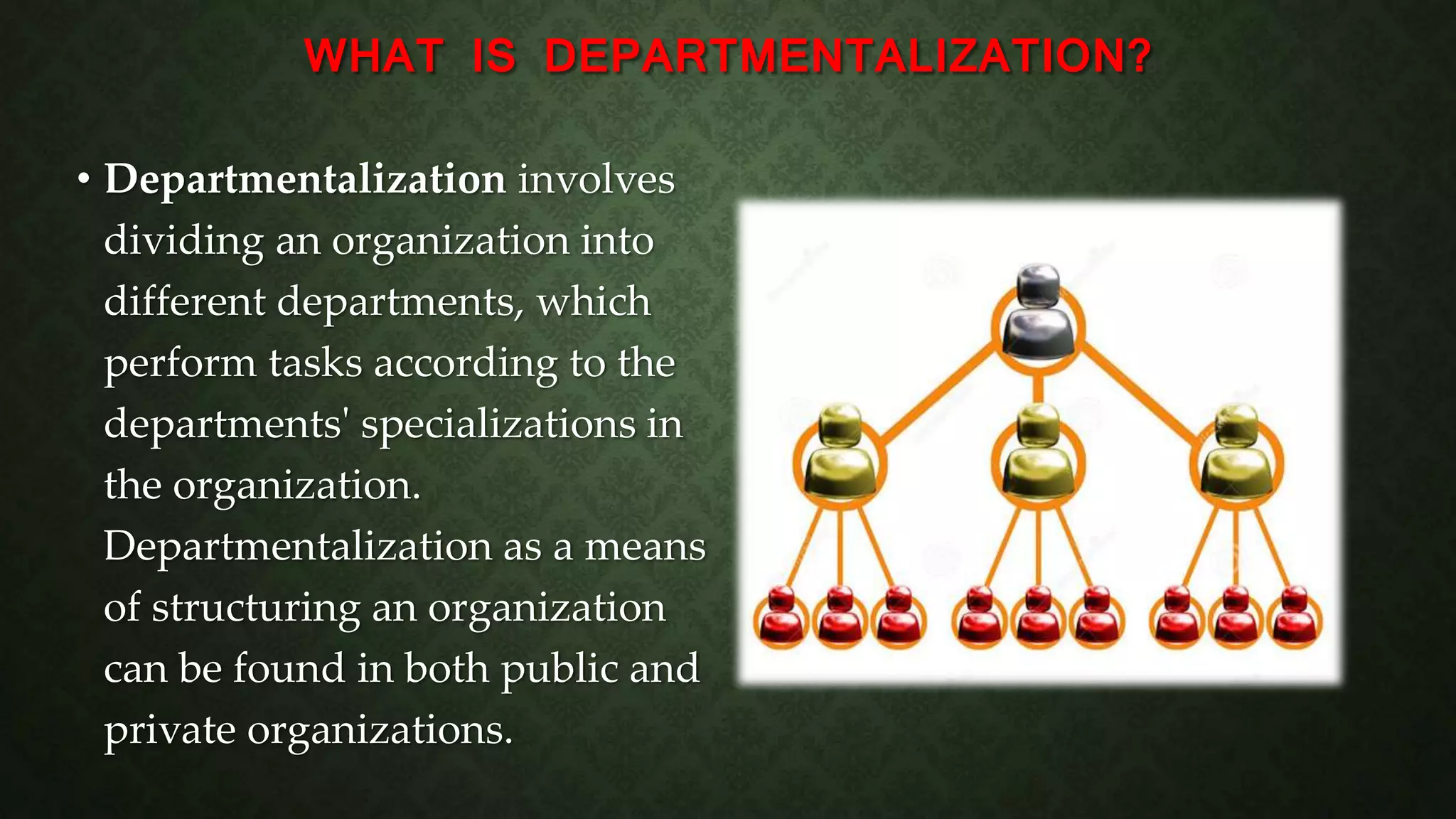 Functional departmentalization | PPTX