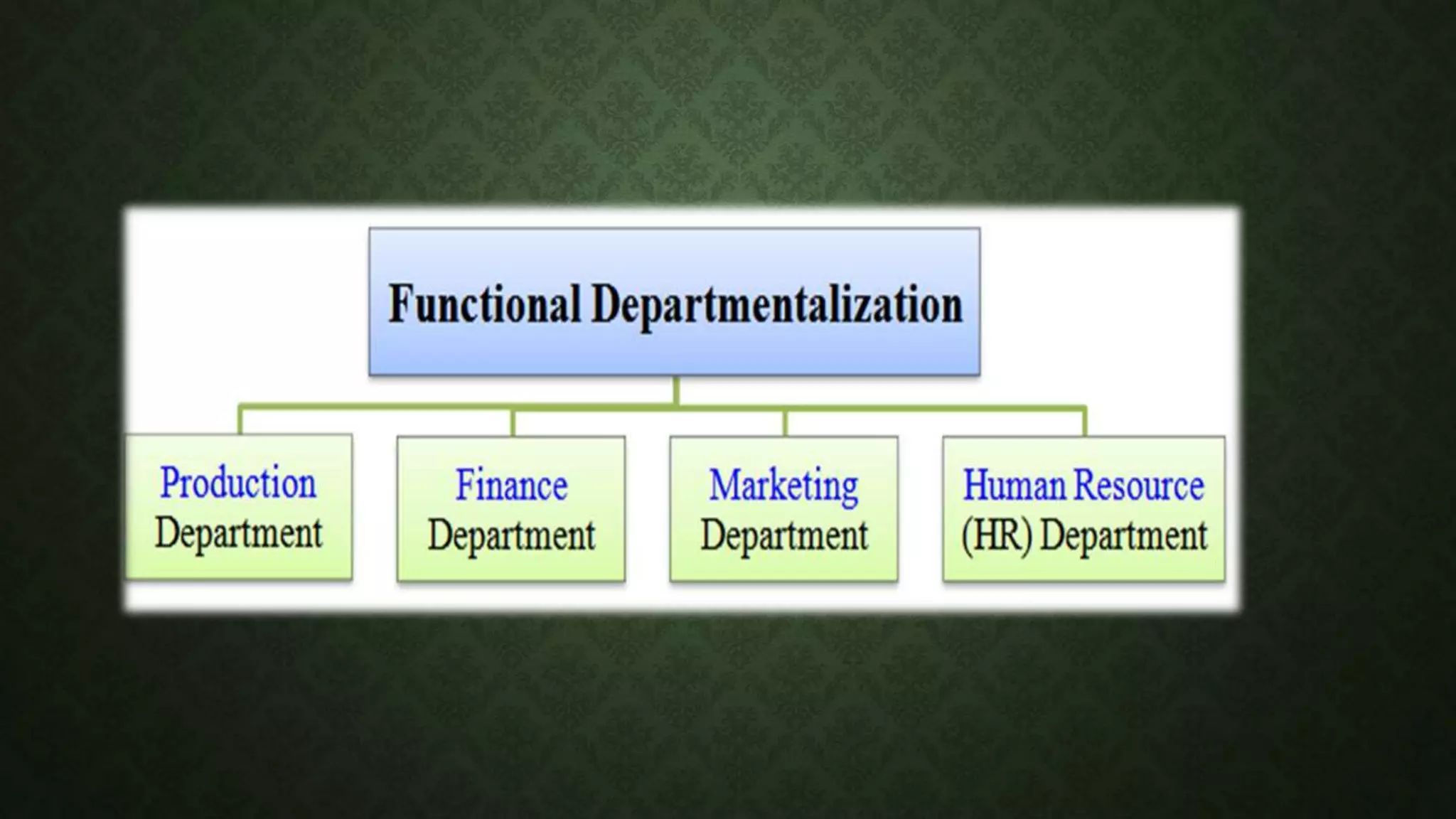 Functional departmentalization | PPTX