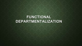 Functional departmentalization | PPTX