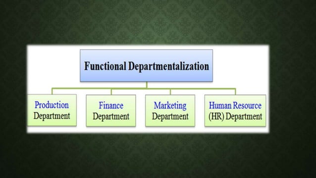 Functional departmentalization | PPTX | Business | Business and Finance