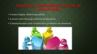 Functional departmentalization | PPTX