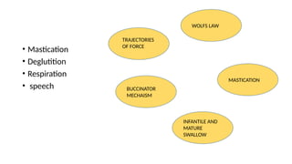 functional development in orthodontics.pptx