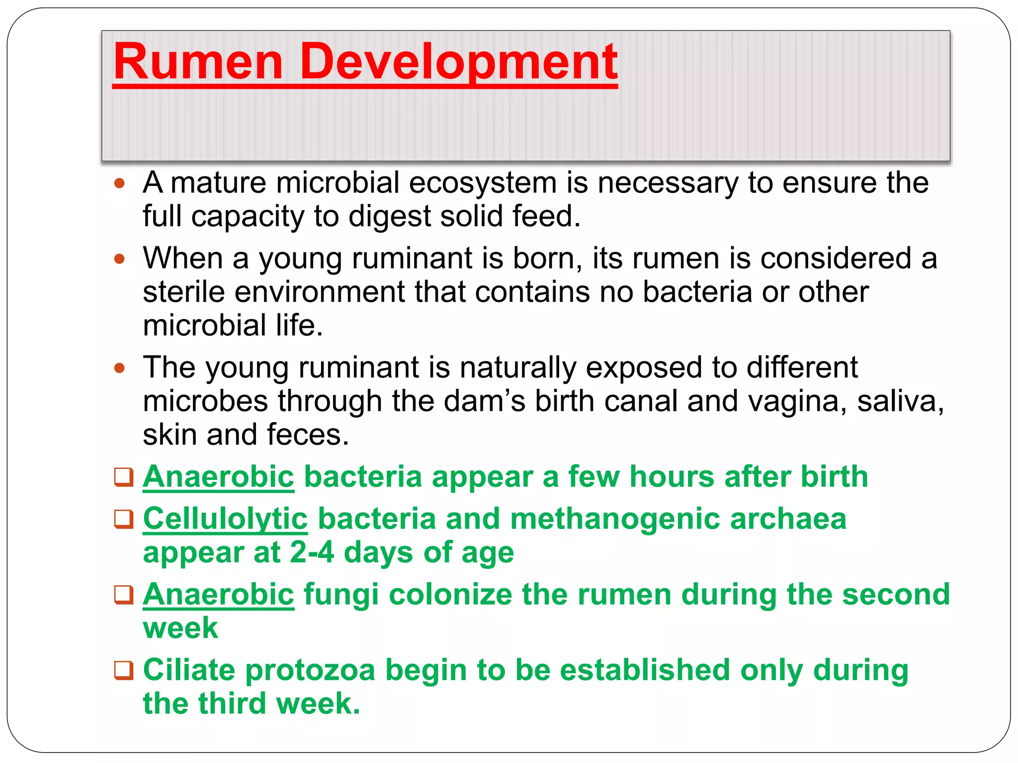 Functional development of rumen | PPTX