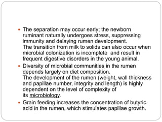 Functional development of rumen | PPTX
