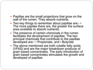 Functional development of rumen | PPTX