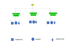Functional, Divisional & Matrix Organizational Structure.pptx