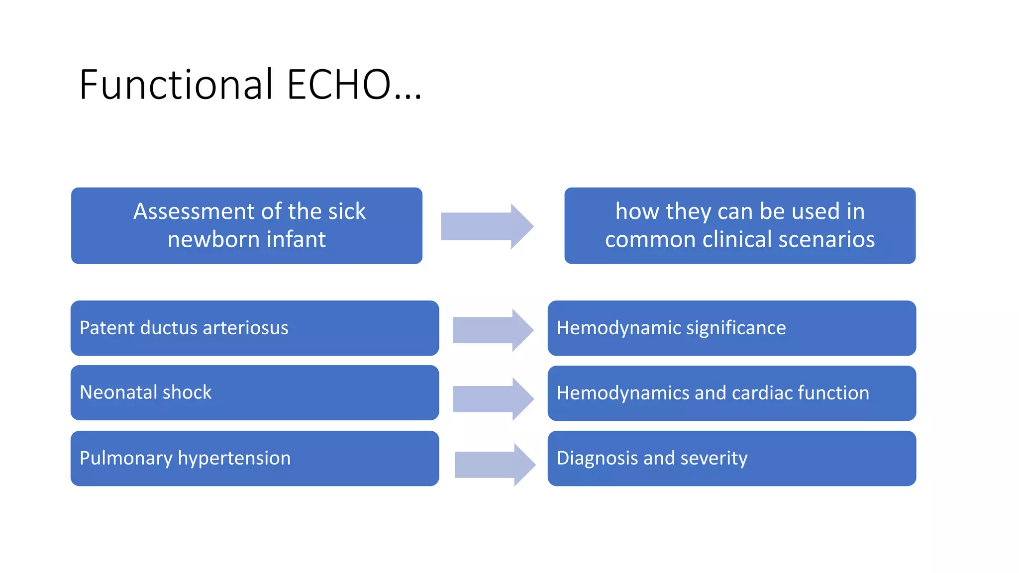 Functional ECHO.pptx